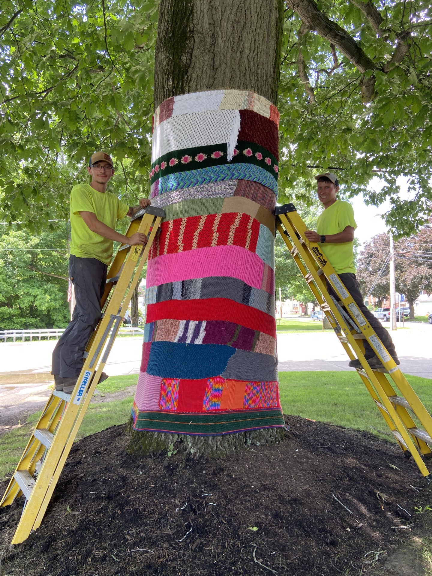 ‘Color Our World,” Focus of Falconer Library Reading Program | News ...